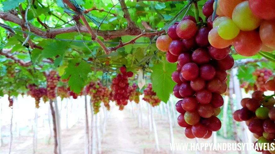 Home - Happy and Busy Travels