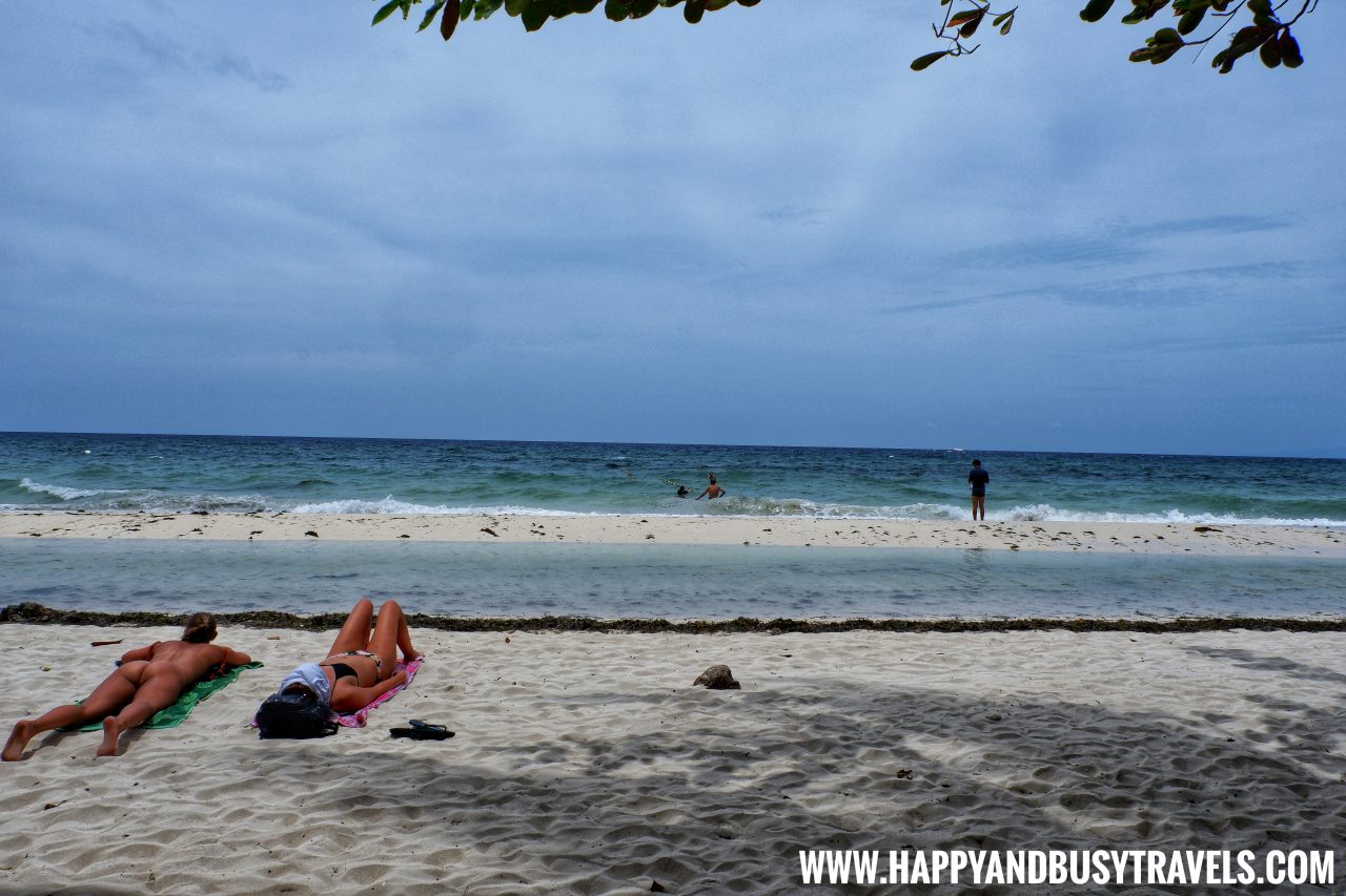 Alona Tropical Beach Resort, Panglao, Bohol - Happy and Busy Travels