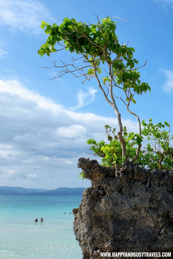 Boracay is Now Open to the Public! - Happy and Busy Travels