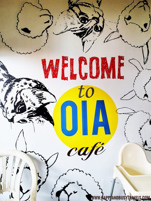 OIA Cafe, A.K.A. the Alpaca Cafe - Happy and Busy Travels
