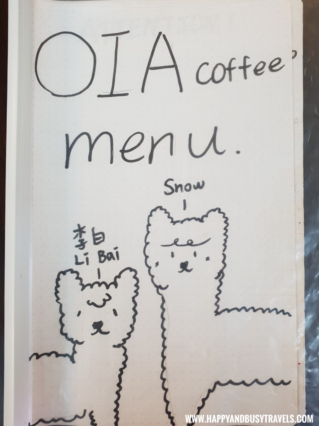 OIA Cafe, A.K.A. the Alpaca Cafe - Happy and Busy Travels