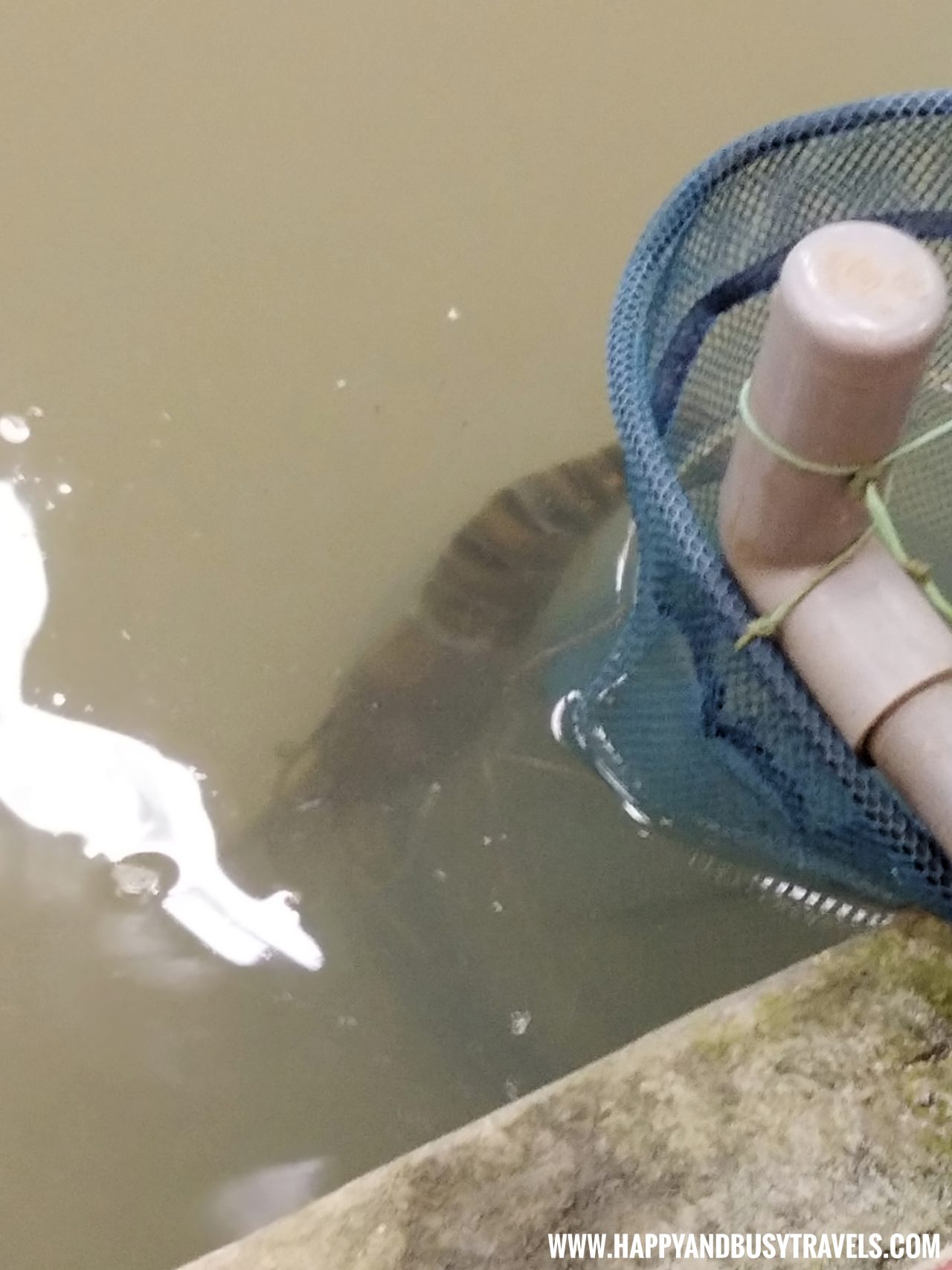 Shrimp Fishing in Taiwan - Happy and Busy Travels