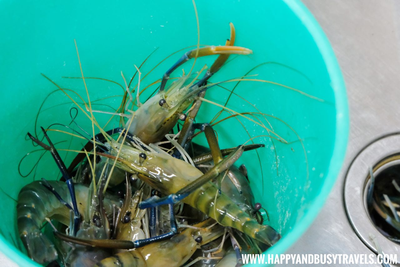 Shrimp Fishing in Taiwan - Happy and Busy Travels