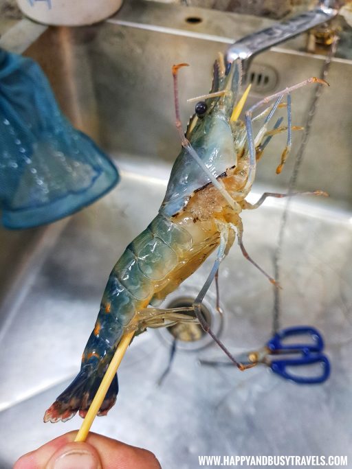 Shrimp Fishing in Taiwan - Happy and Busy Travels