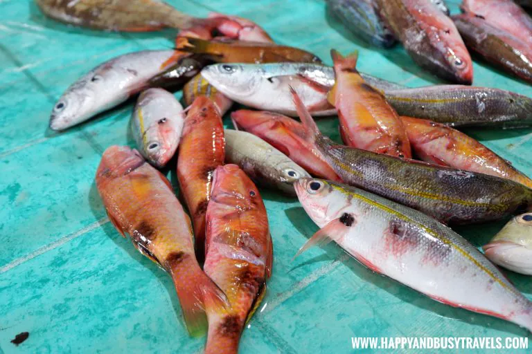 Carabao Island, Romblon - Happy and Busy Travels