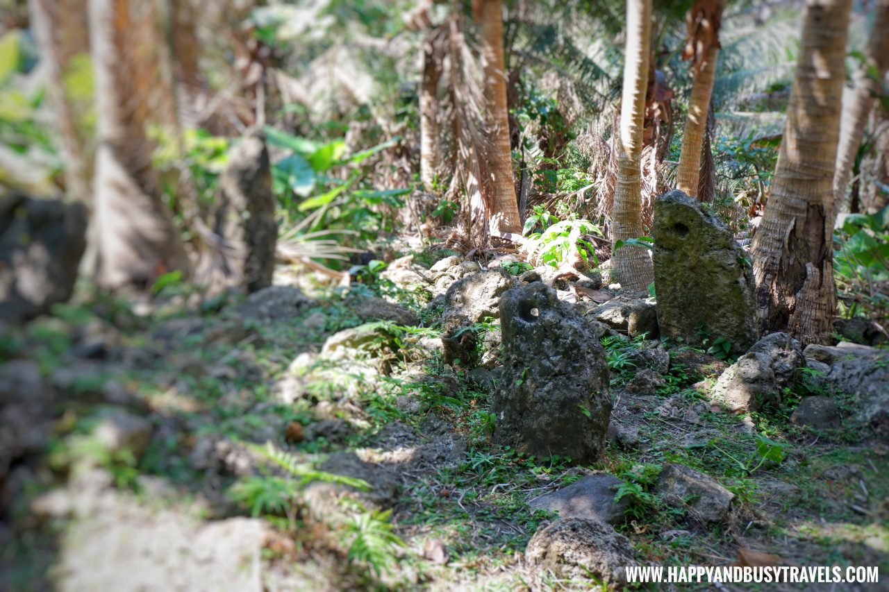 Fountain of Youth, Originally known as Rakuh-A-Idi Spring - Happy and ...