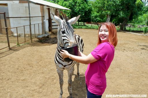 tagaytay zoo Archives - Happy and Busy Travels