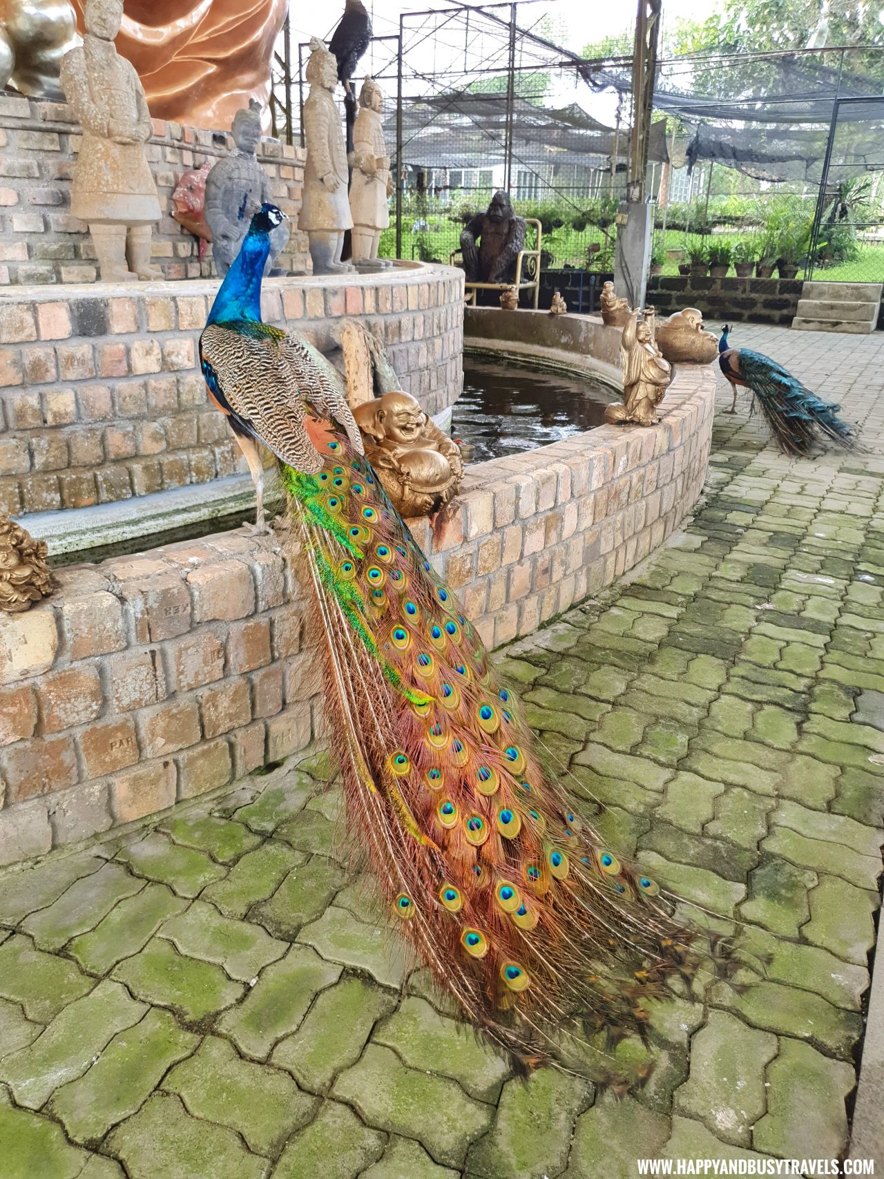 Yoki's Farm, Mendez Cavite - Happy and Busy Travels