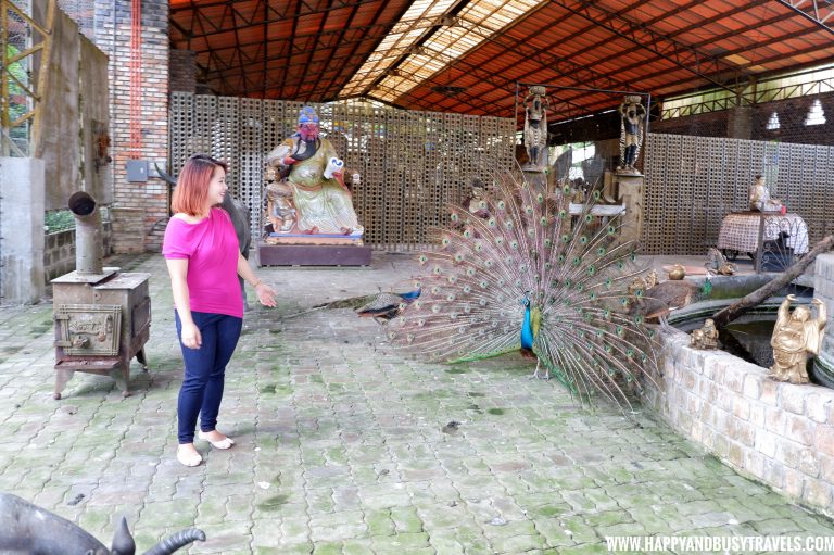Yoki's Farm, Mendez Cavite - Happy and Busy Travels