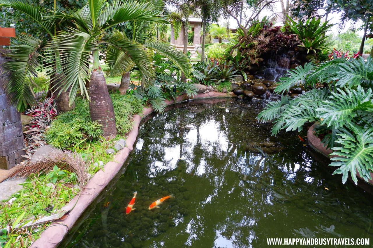 Yoki's Farm, Mendez Cavite - Happy and Busy Travels