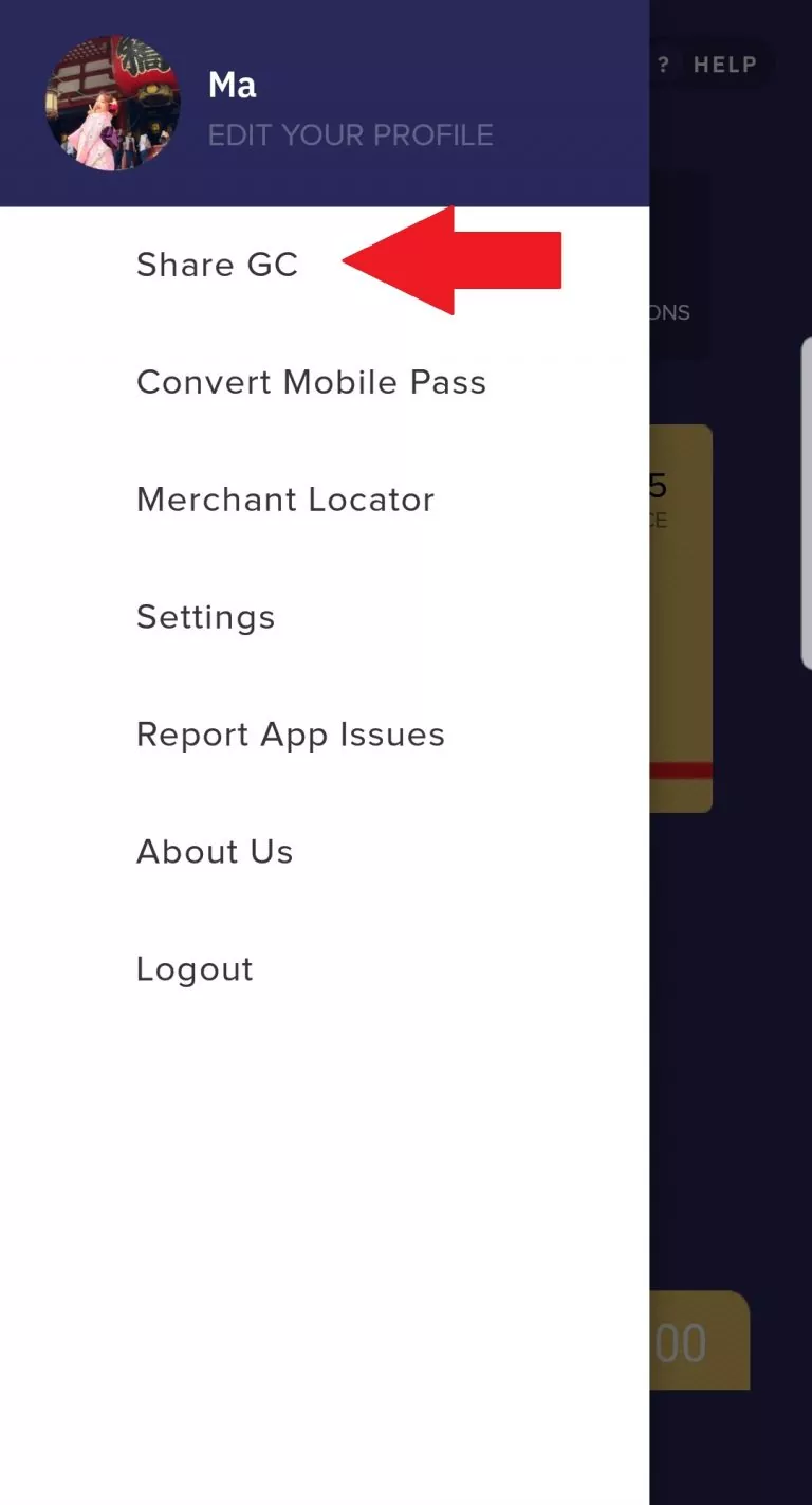 Sodexo - How to use the Application? - Happy and Busy Travels