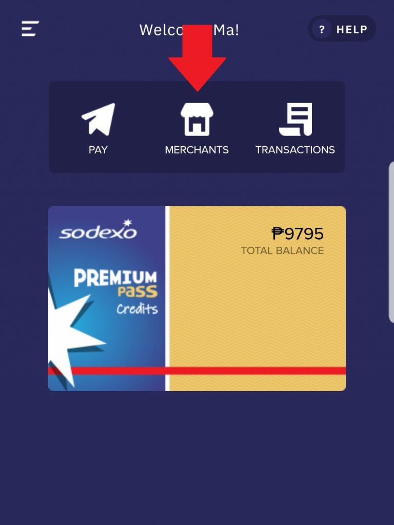 Sodexo - How to use the Application? - Happy and Busy Travels