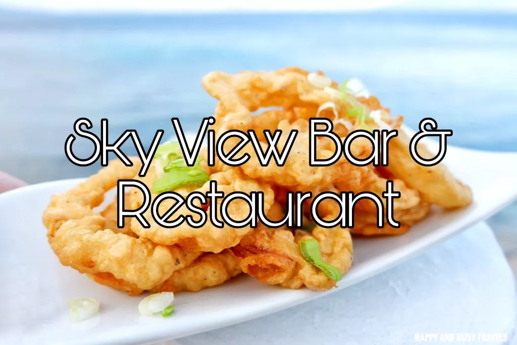 Sky View Bar and Restaurant - Happy and Busy Travels