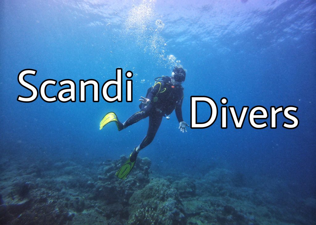 Scandi Divers, Puerto Galera - Happy and Busy Travels