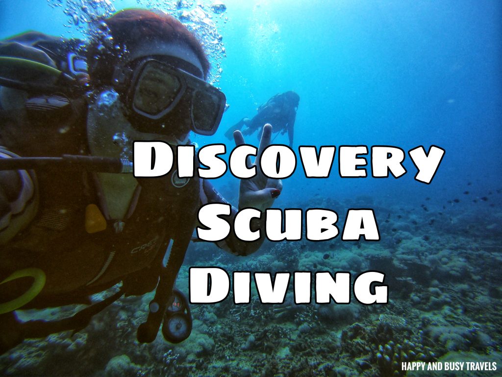 Discovery Scuba Diving - Happy and Busy Travels