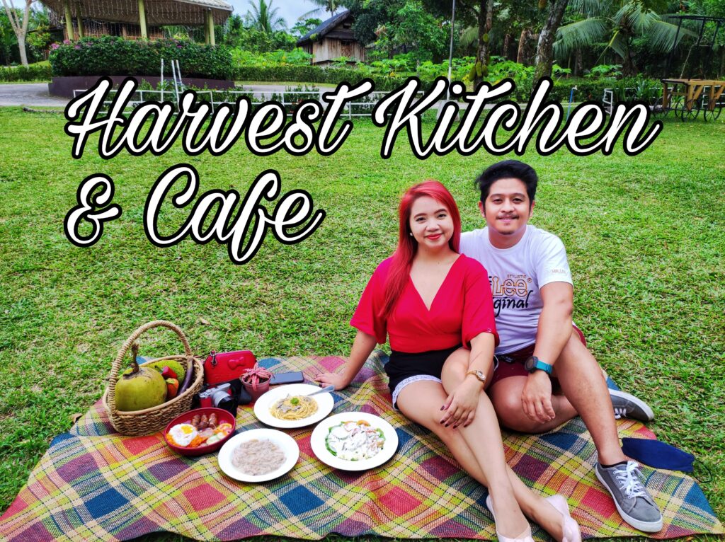 Harvest Kitchen and Cafe - Happy and Busy Travels