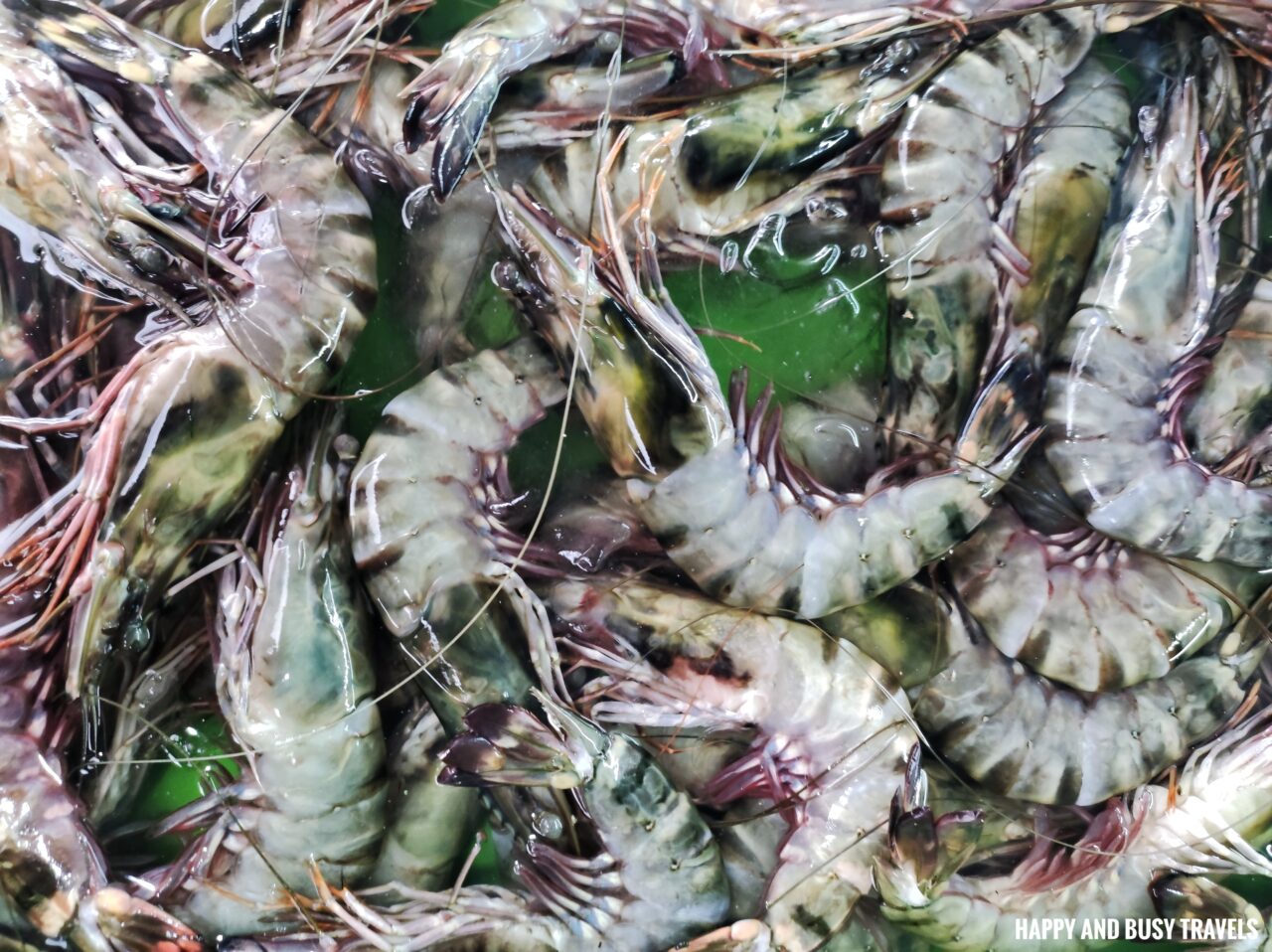 Balai Seafood Restaurant Boracay - Happy and Busy Travels