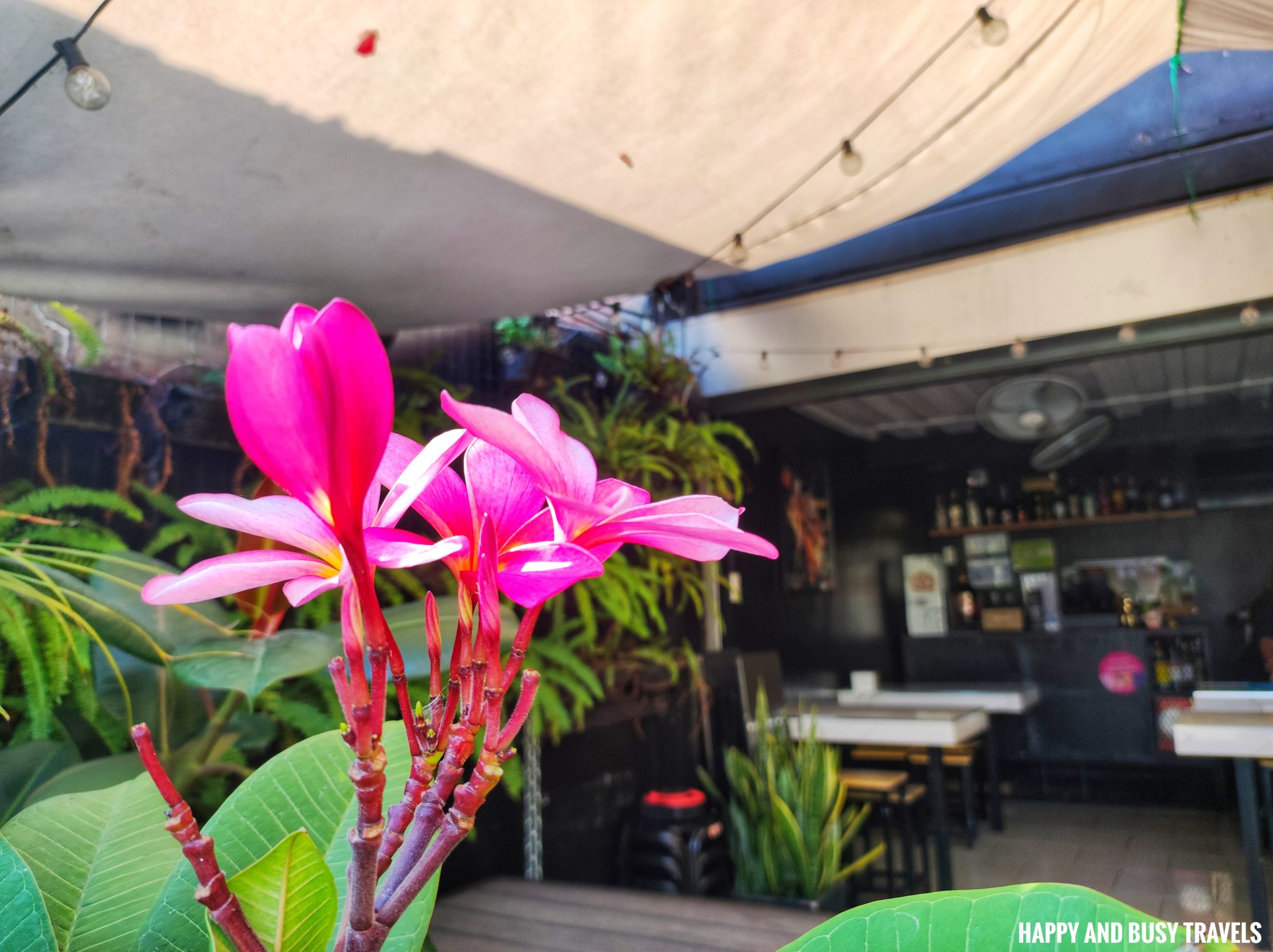 Bobschibog Restobar VIP KTV! - Happy and Busy Travels