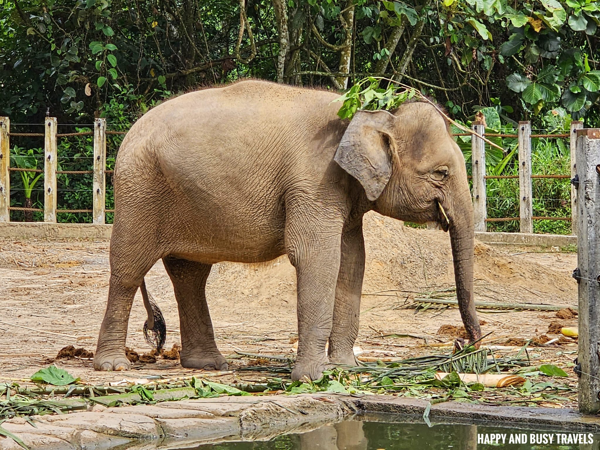 Lok Kawi Wildlife Park - Happy and Busy Travels