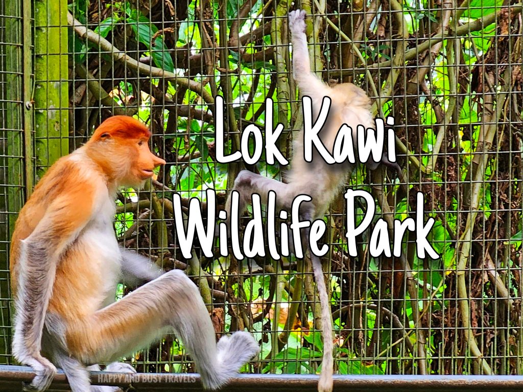 Lok Kawi Wildlife Park - Happy and Busy Travels