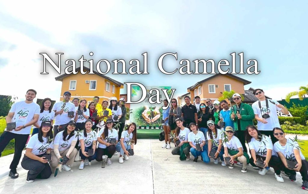 National Camella Day - Happy and Busy Travels