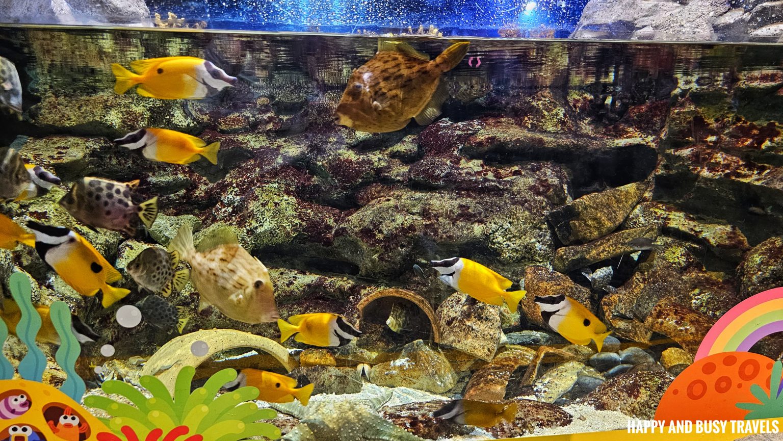 Ocean Park Hong Kong - Happy and Busy Travels