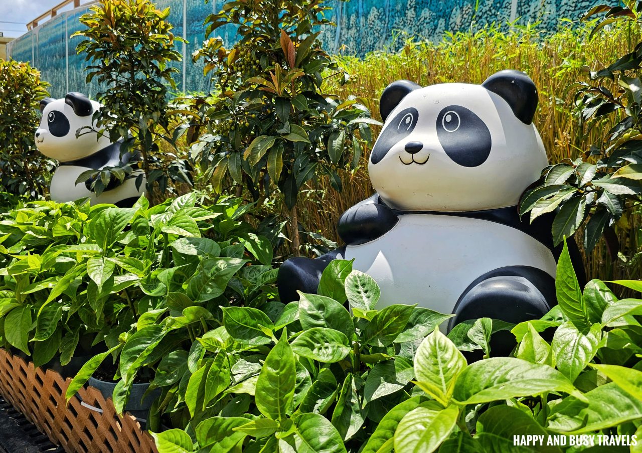 Ocean Park Hong Kong - Happy and Busy Travels